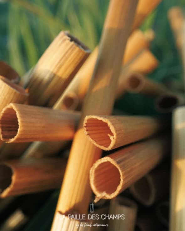 Pailles d'avoine naturelles et 100% françaises | La Paille des Champs